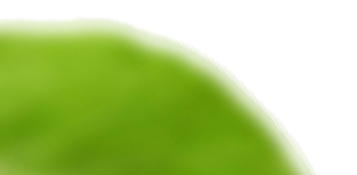 Qlean | Laundry Sheets and Pods – QLEAN